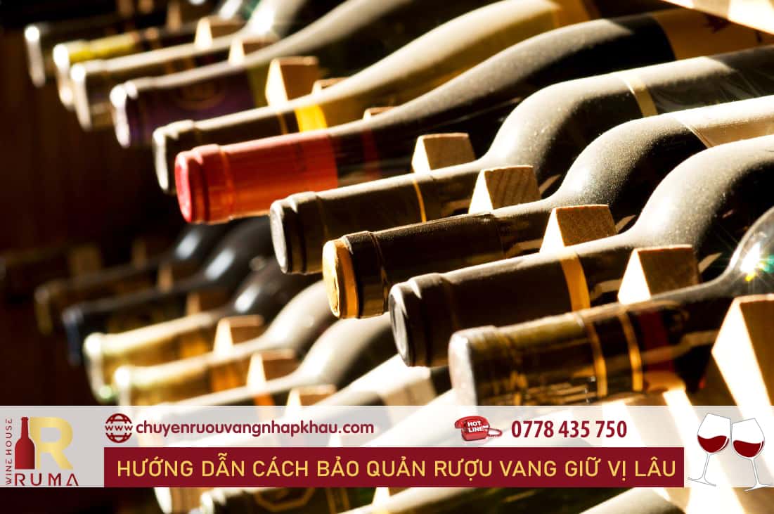Hướng dẫn cách bảo quản rượu vang đúng cách, giữ vị lâu